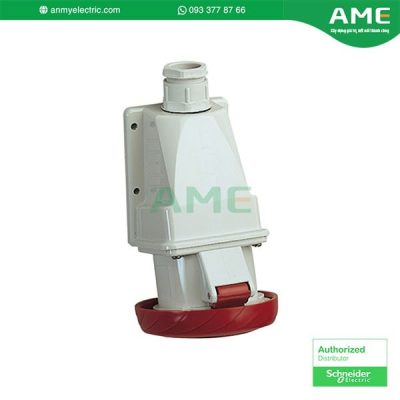 Ổ cắm nối PKF16W734 Schneider 3P IP67 16A 415VAC