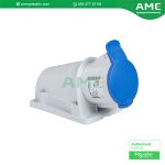 Ổ cắm nổi Wall Mounted Socket IP44 Schneider IEC60309