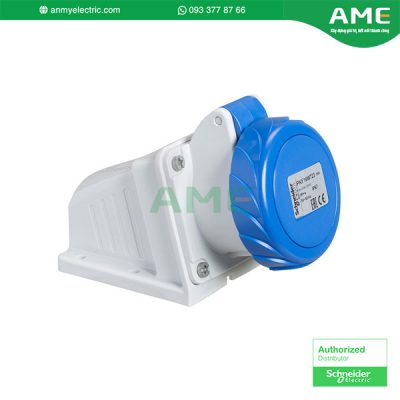Ổ cắm nổi Wall Mounted Socket IP67 Schneider 2P+E IEC