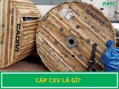 Cáp CXV là gì? Cấu tạo, đặc điểm, ứng dụng của dây cáp điện
